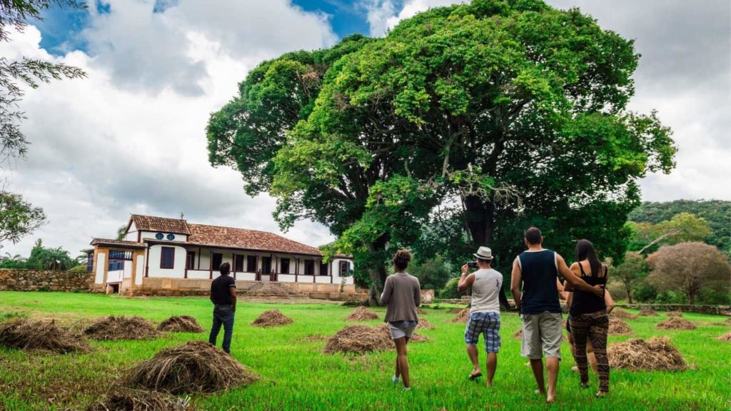 Per Stirpes Definition with Infographic, Charts, and Examples ...