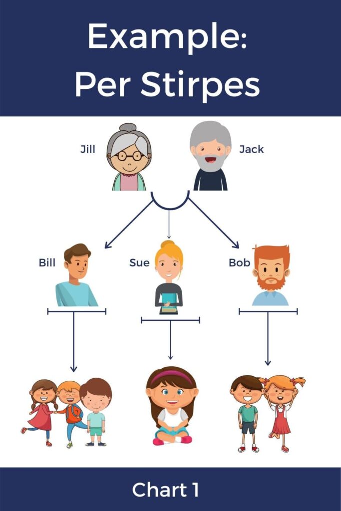 Per Stirpes Definition with Infographic, Charts, and Examples ...